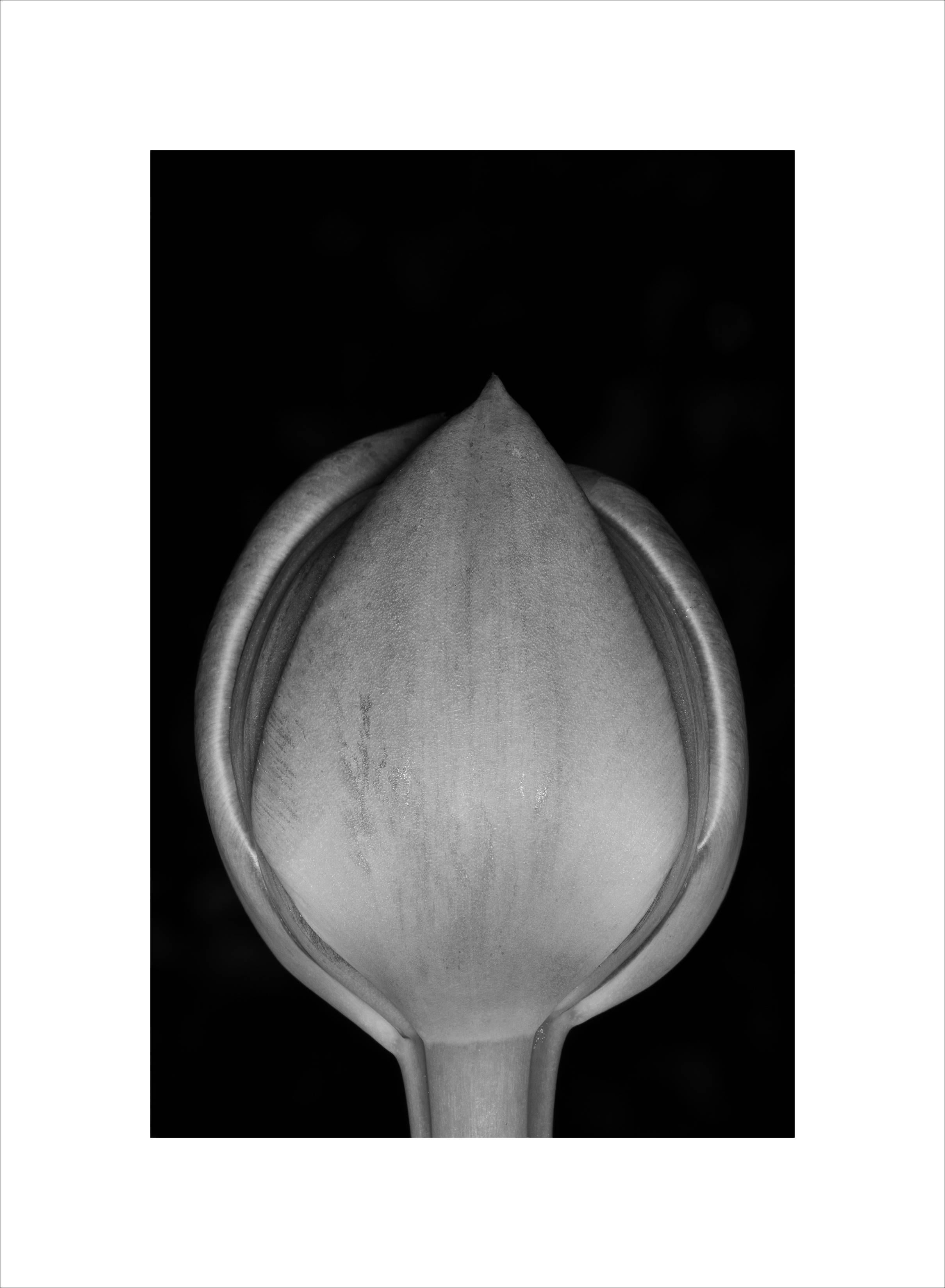 Anna Agoston - Anna Agoston - Untitled #119 For Sale at 1stDibs