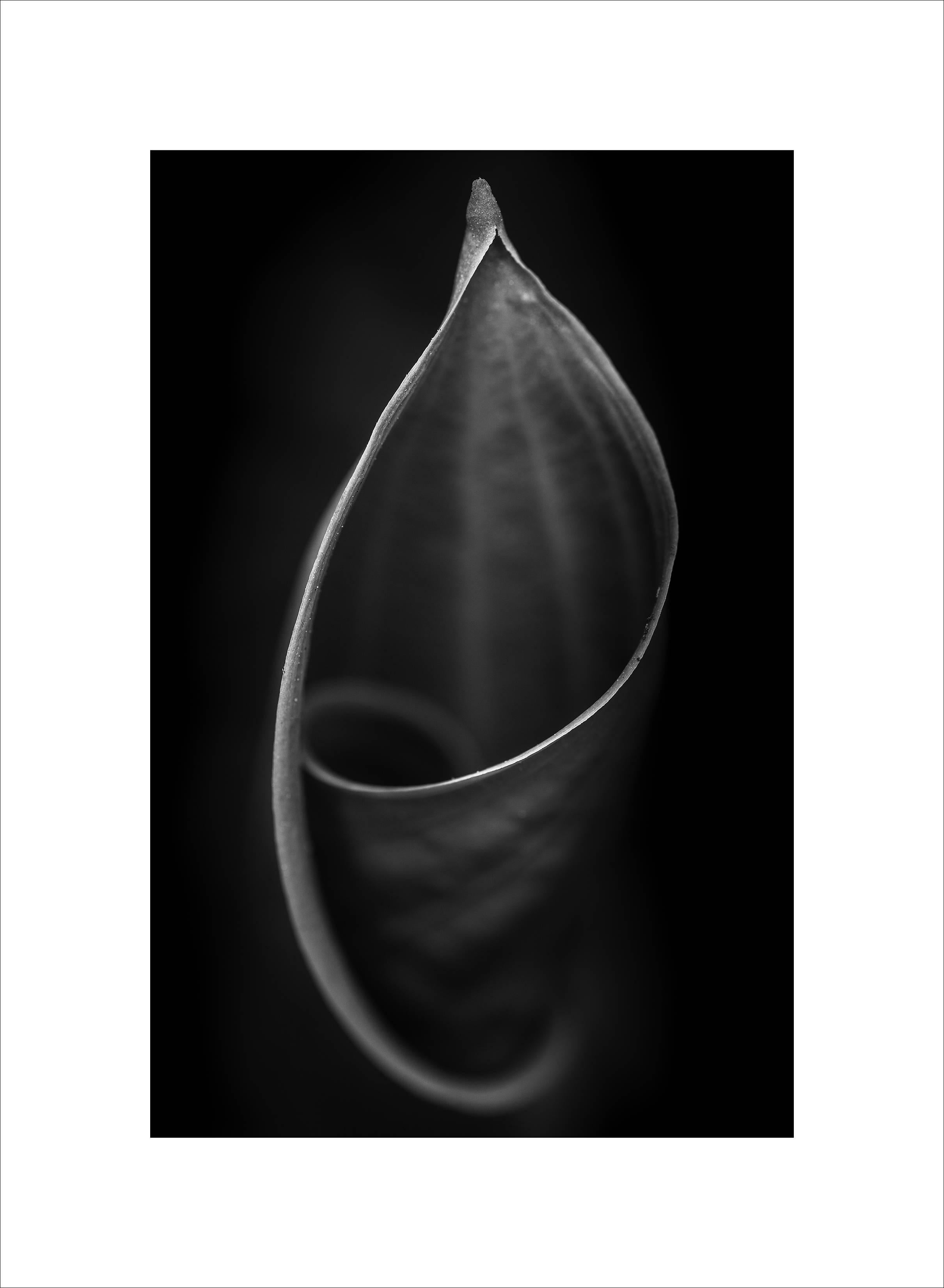 Anna Agoston - Anna Agoston - Untitled #24 For Sale at 1stDibs | von ...