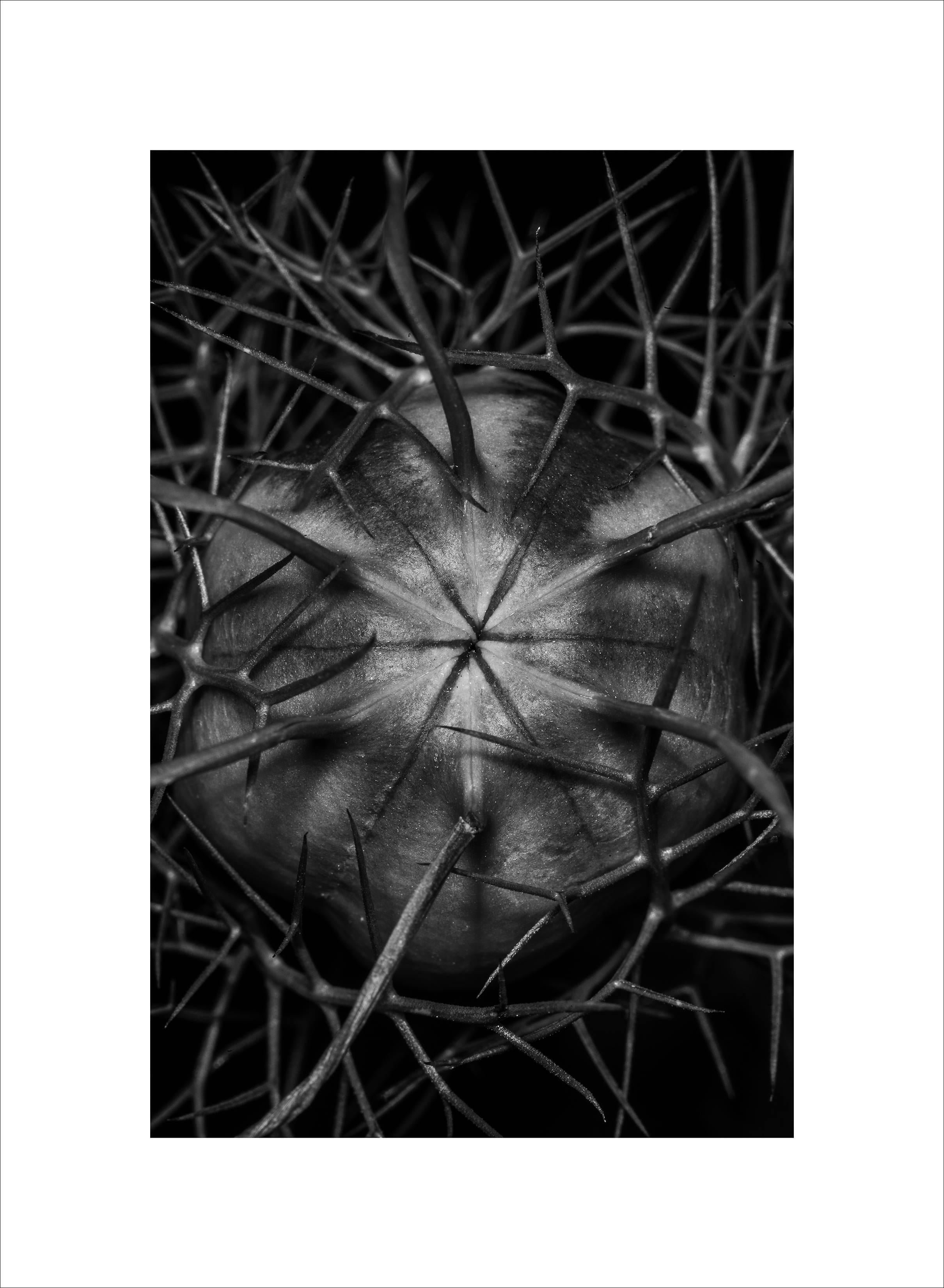 Anna Agoston - Anna Agoston - Untitled #153 For Sale at 1stDibs