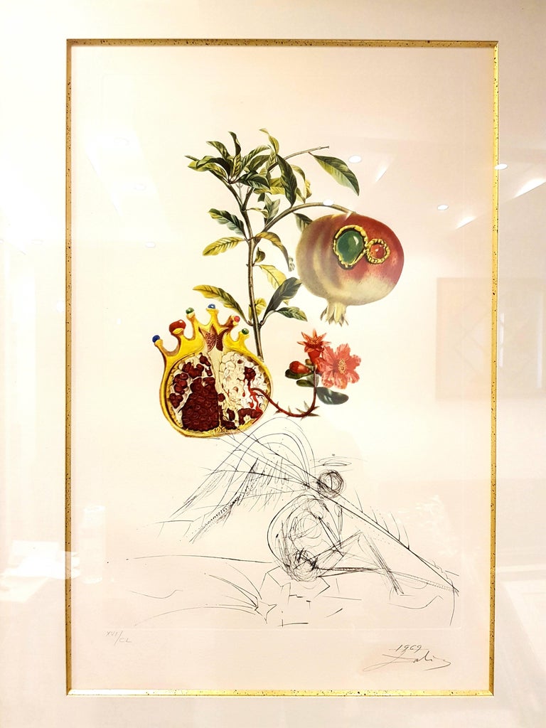 Salvador Dalí - Salvador Dali - Angel and Pomegranate - Original Hand ...