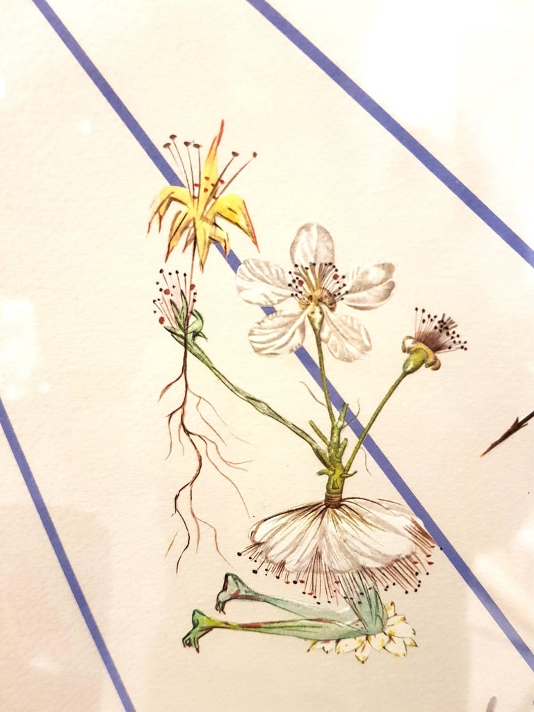 Salvador Dalí­ - Salvador Dali - Flordali II - Lithograph at 1stDibs