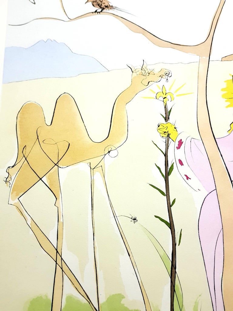 Salvador Dalí­ - Salvador Dali - Lion - Signed Engraving at 1stDibs