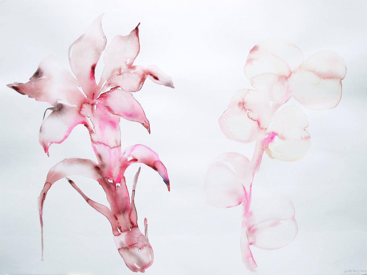Kim McCarty - Untitled (Two Flowers) at 1stDibs