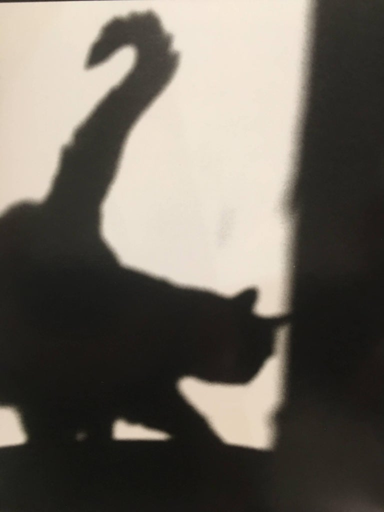 Wendy Small - Before the Details 14 For Sale at 1stDibs