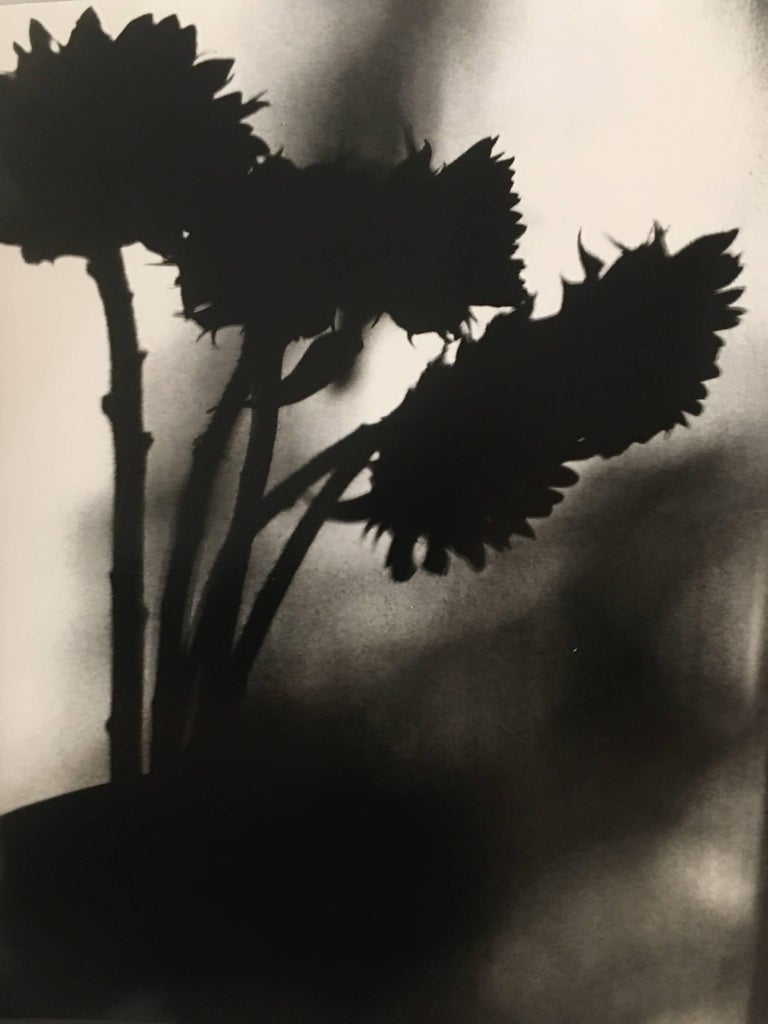 Wendy Small - Before the Details 1 For Sale at 1stDibs