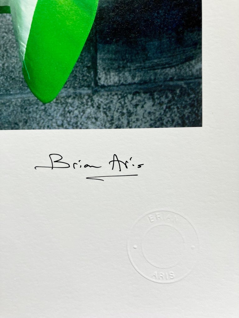 Brian Aris - David Bowie by Brian Aris For Sale at 1stDibs