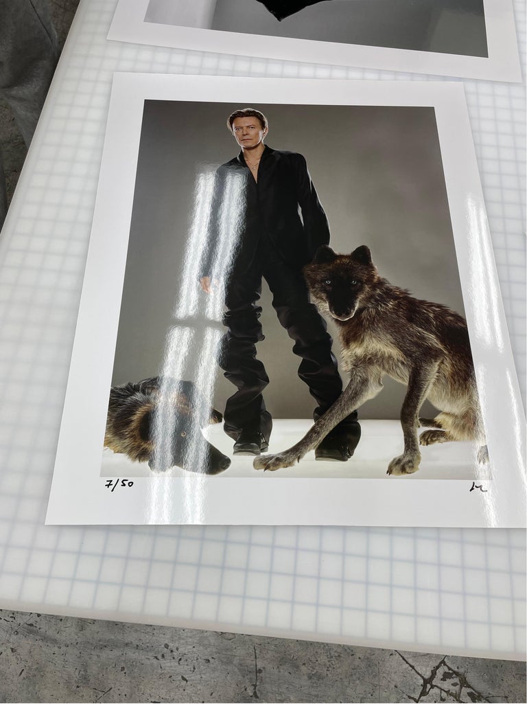 Markus Klinko - David Bowie : The Wave by Markus Klinko For Sale at 1stDibs