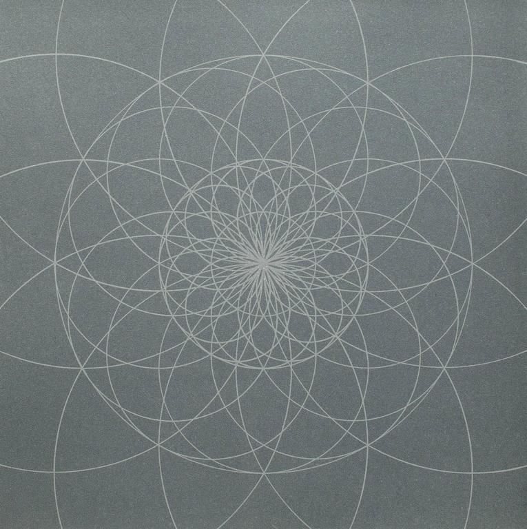 Chad Lassin - Toroidal in Silver Pearl and Mica at 1stDibs