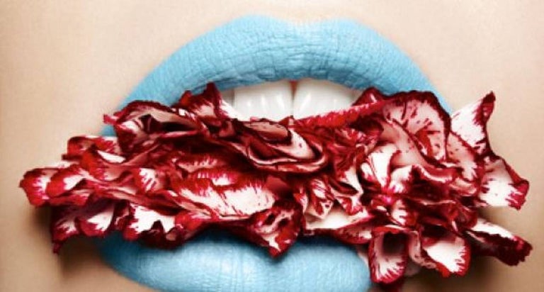 Rankin - Carnation Bitten For Sale at 1stDibs