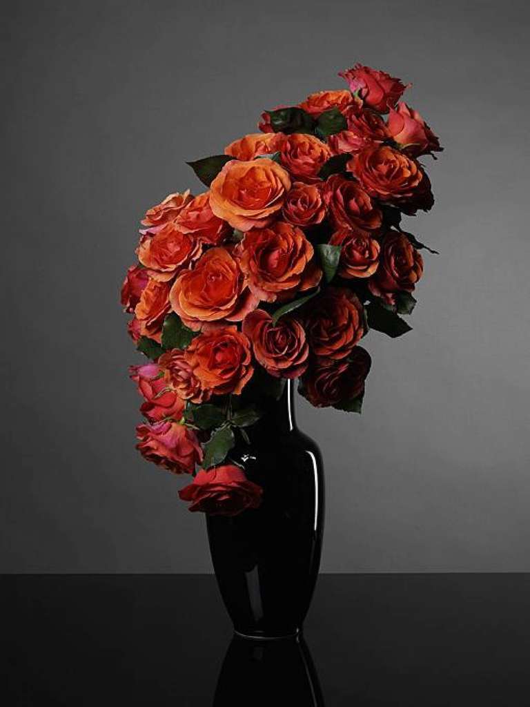 Jesse Frohman - Sunset Roses For Sale at 1stDibs