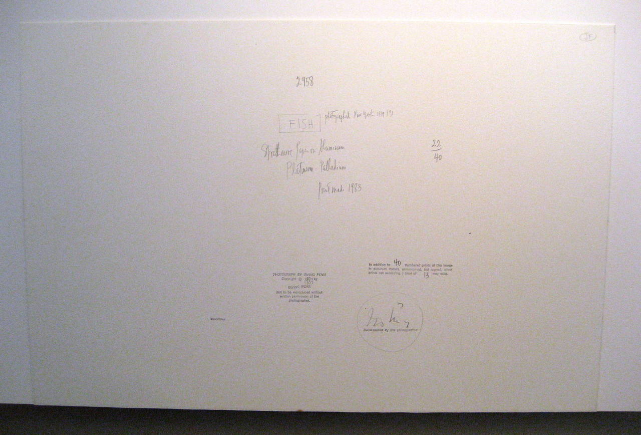 Irving Penn - "Fish, New York" (c.1939) For Sale at 1stDibs | irving ...