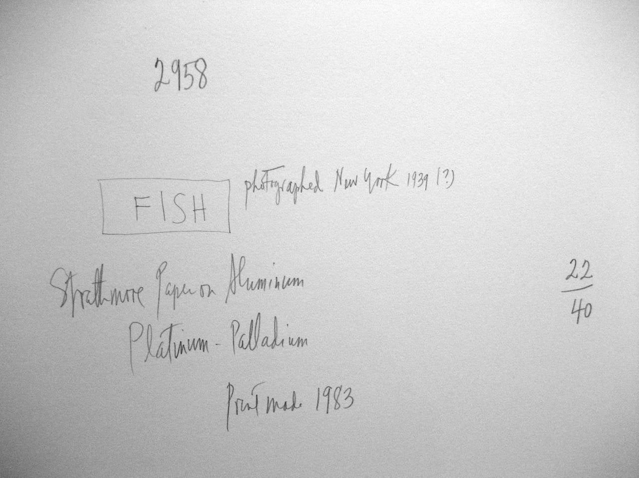 Irving Penn - "Fish, New York" (c.1939) For Sale at 1stDibs | irving ...