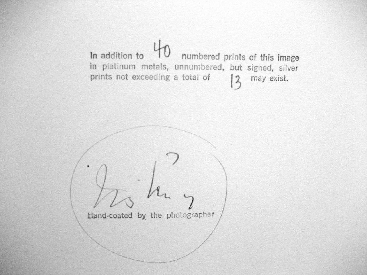 Irving Penn - "Fish, New York" (c.1939) For Sale at 1stDibs | irving ...