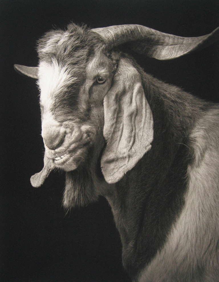 Kevin Horan - Jake #1 For Sale at 1stDibs