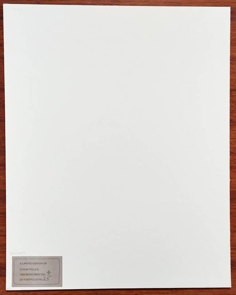 Arthur Rothstein - The Bleached Skull of a Steer on the Sun-Baked Earth ...