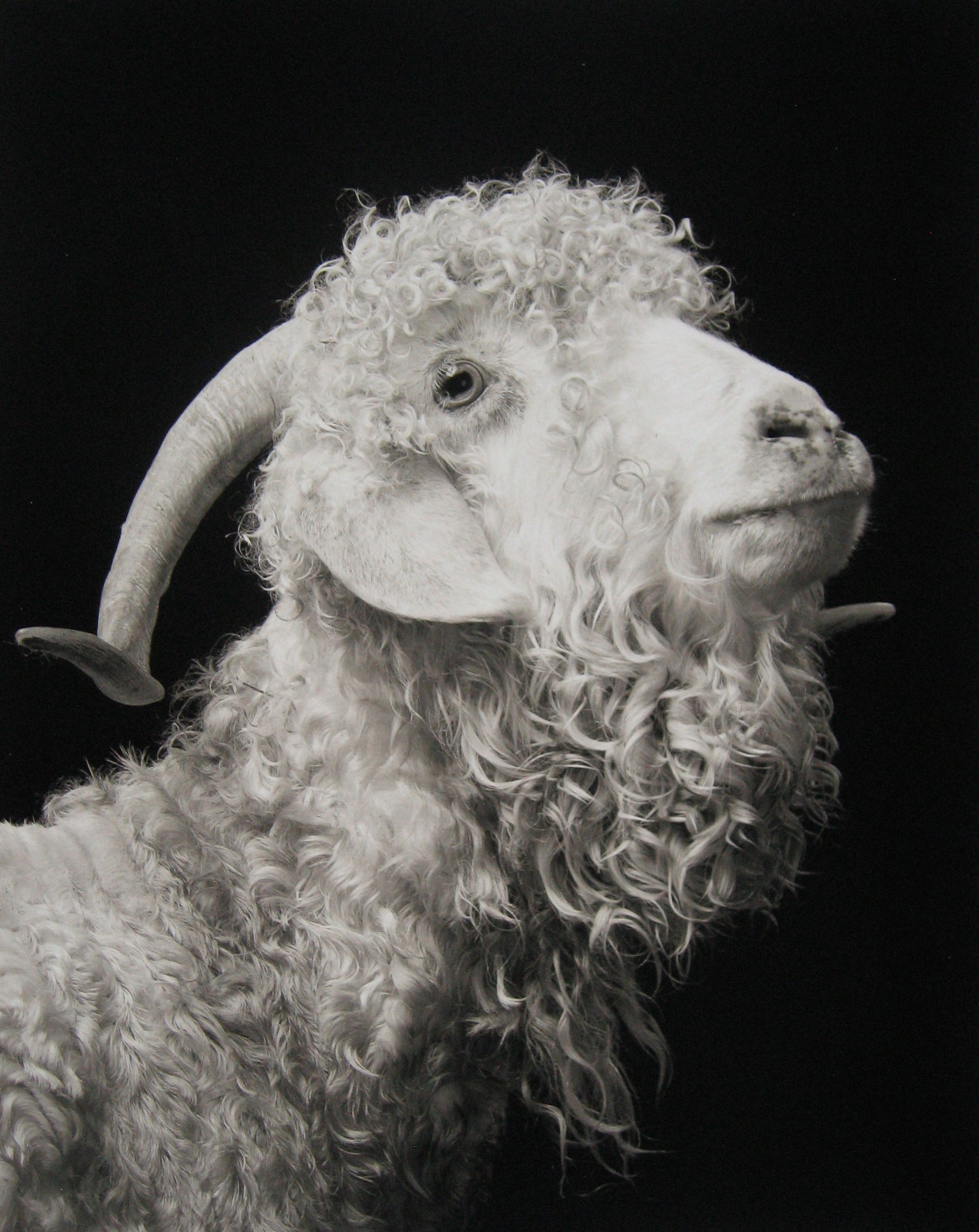 Kevin Horan - Bennett #1 For Sale at 1stDibs