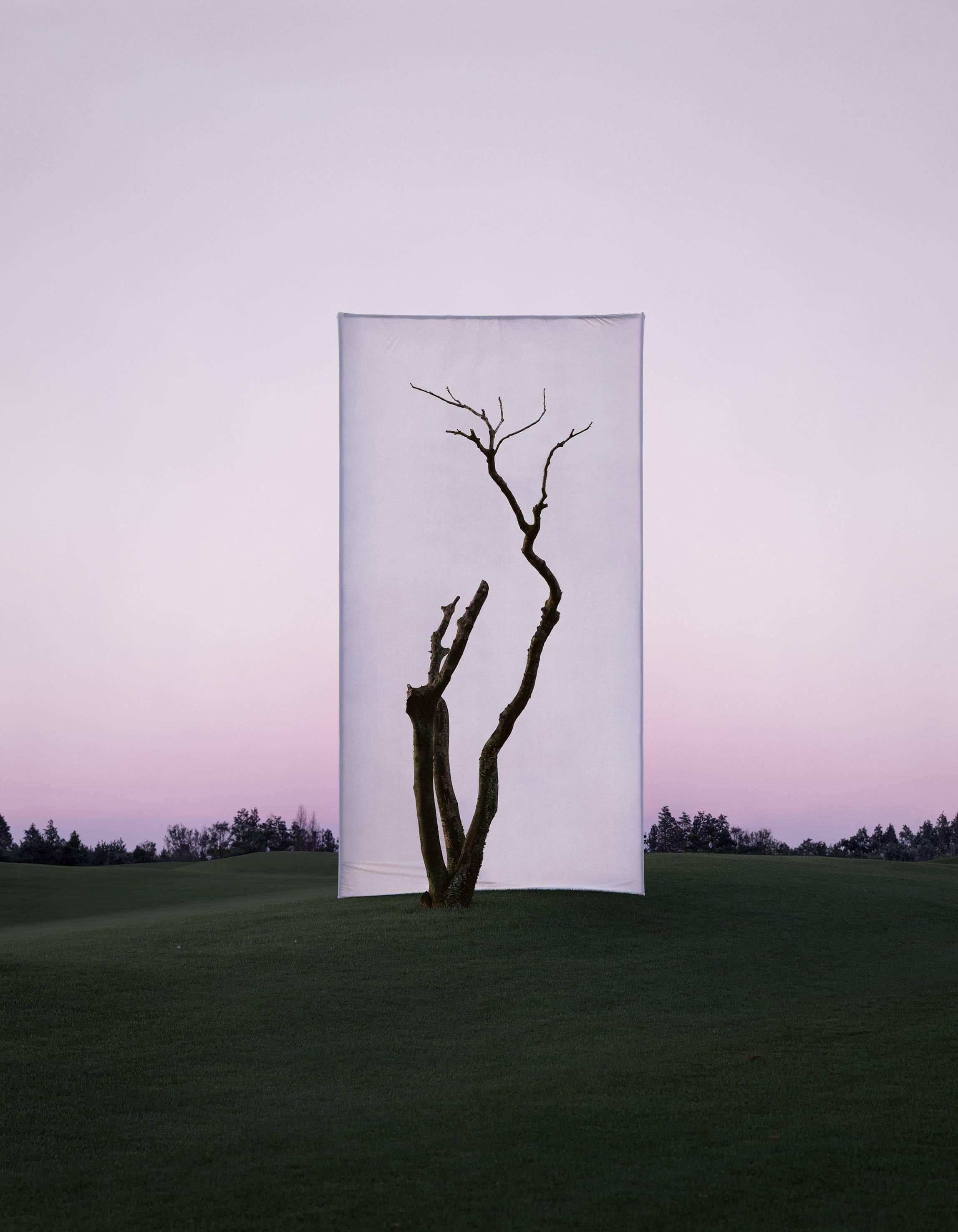 Myoung Ho Lee - Tree #1_2 For Sale at 1stDibs