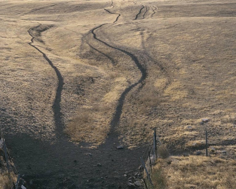 Anna Collette - Cowtrails For Sale at 1stDibs