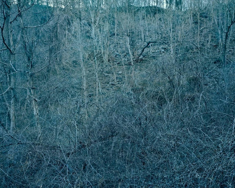 Anna Collette - Untitled (Dark Landscape #65) For Sale at 1stDibs