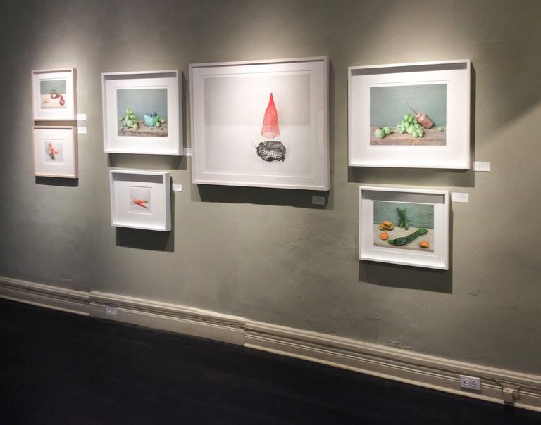 David Halliday - Flotsam I (2 Nets) For Sale at 1stDibs