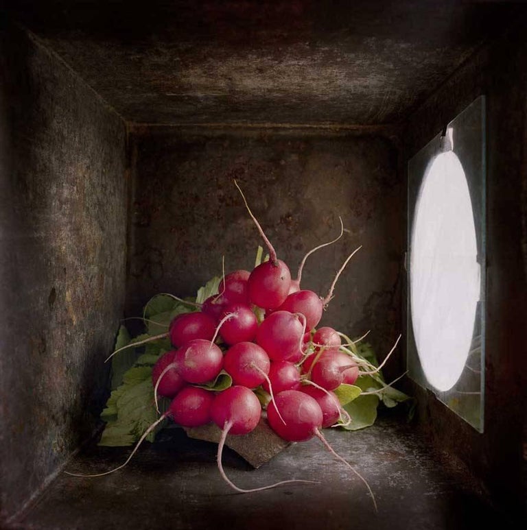 David Halliday - Radishes (Contemporary Still Life Study in Light Box ...