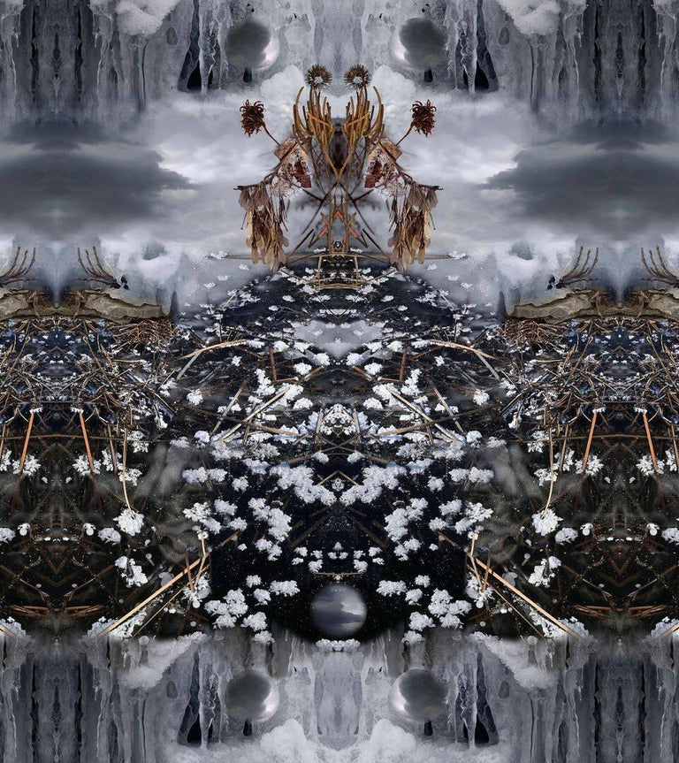 Lisa A. Frank - Creekbed in Winter (Contemporary Digital Print of ...