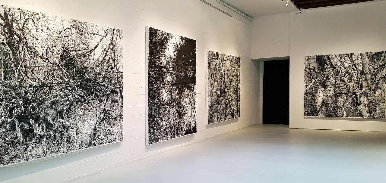 Chris Freeman - You There? For Sale at 1stDibs