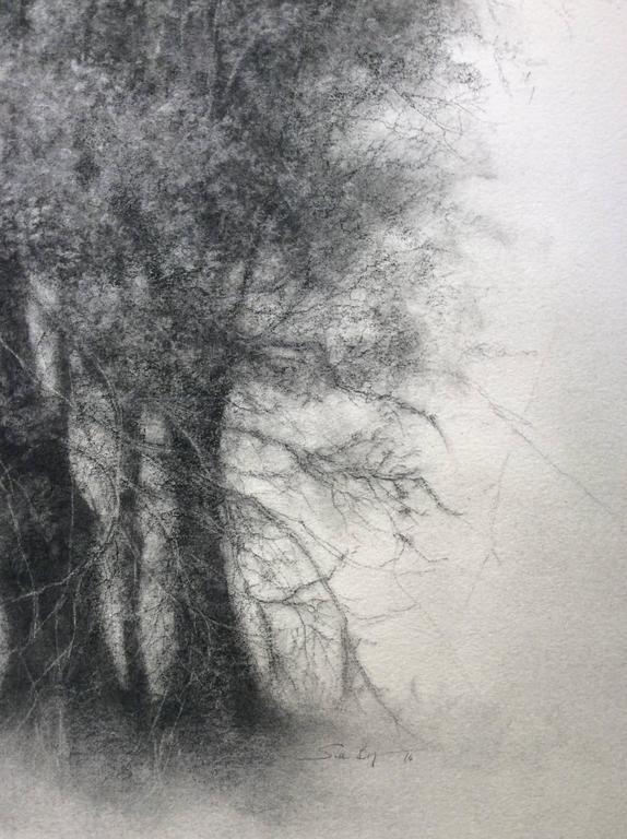 Sue Bryan - Lone Star (Modern Realist Charcoal Drawing of Detailed Tree ...