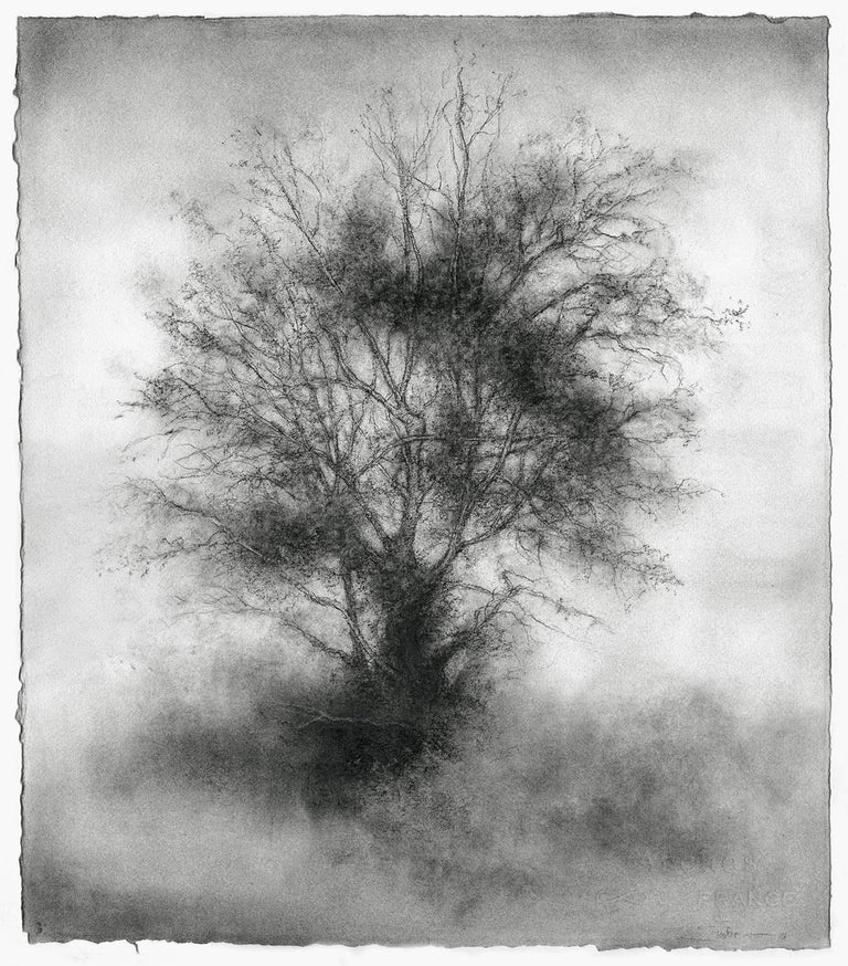 Sue Bryan - Rural Road 7 (Realistic Black and White Charcoal Drawing of ...