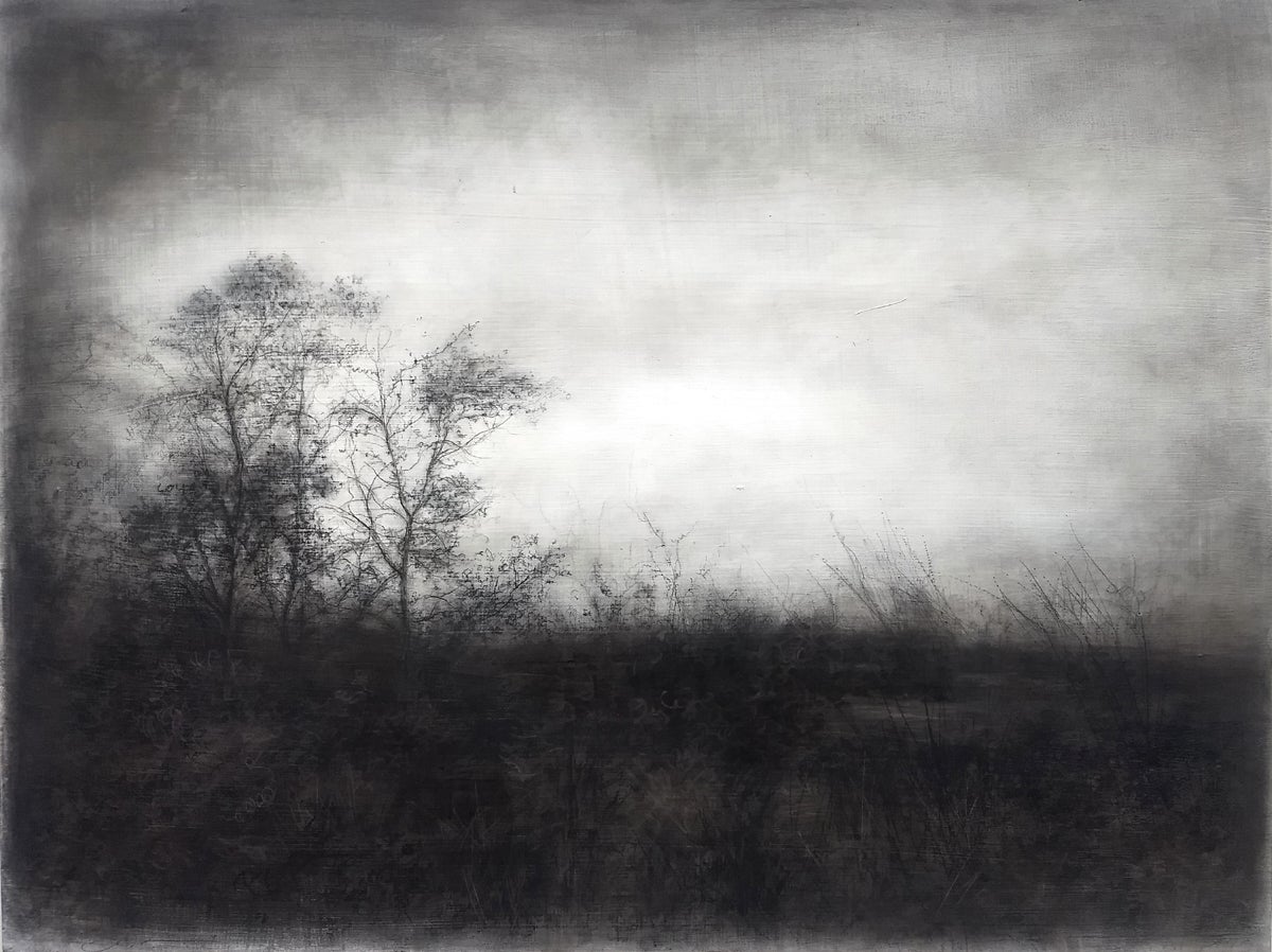 Sue Bryan - Field’s Edge (Realistic Black and White Charcoal Landscape ...