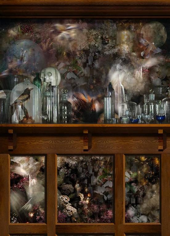 Lisa A. Frank - Suzanna's Specimen Panel (Still Life Photograph ...