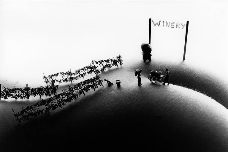 Allan I. Teger - Winery, Photograph: For Sale at 1stdibs