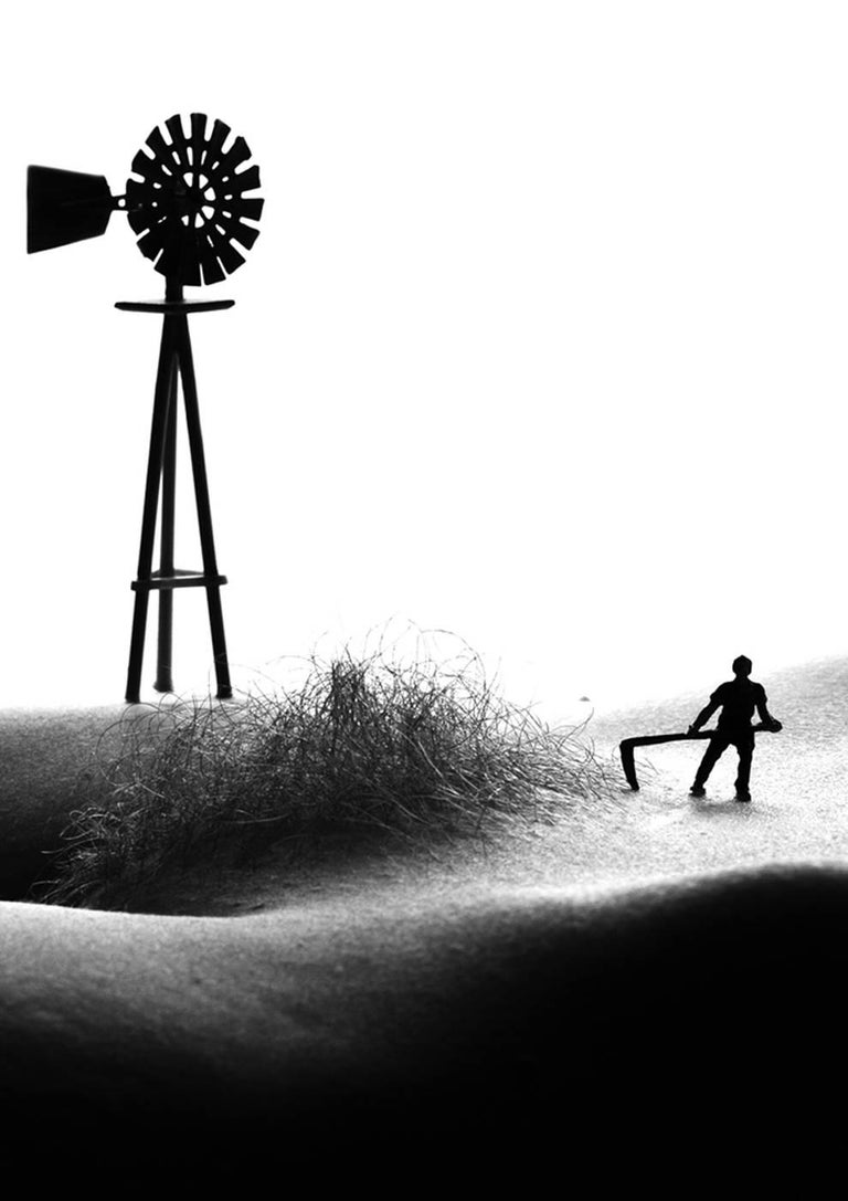 Allan I. Teger - Harvest - black and white photography For Sale at 1stDibs