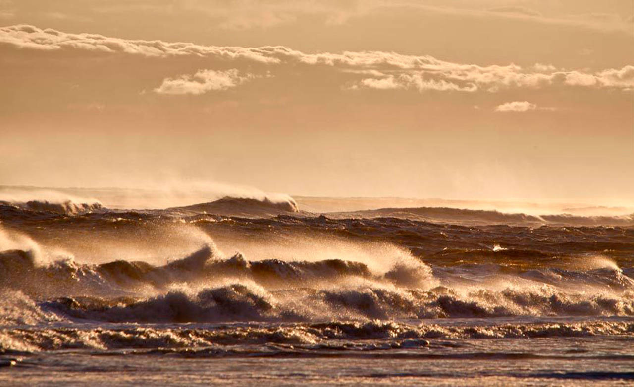 Bob Tabor - Seascape 27 For Sale at 1stDibs | seascape 27 for sale ...