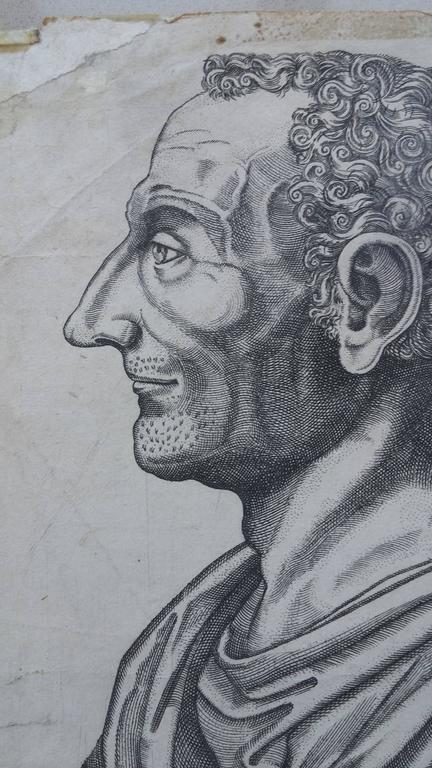 Unknown - Titus For Sale at 1stDibs