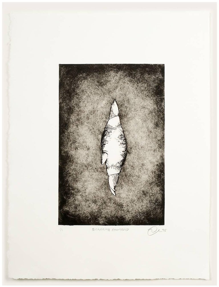 Robin Cass - Bicapitate rhomboid For Sale at 1stDibs