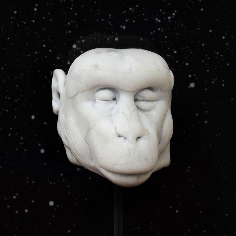 Marshall Hyde - Albert VI, aka Yorick, Space Monkey series For Sale at ...