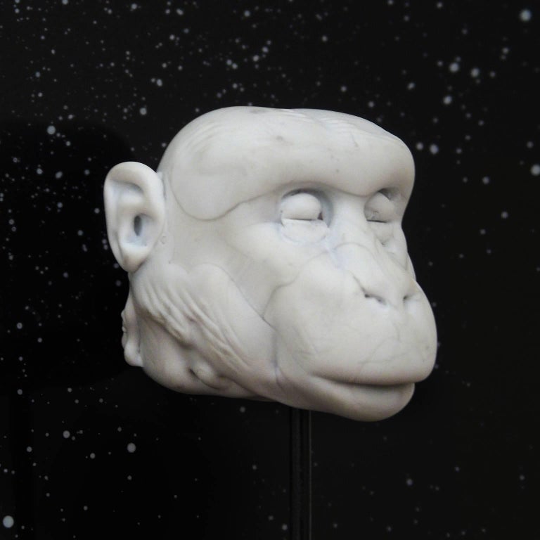 Marshall Hyde - Albert VI, aka Yorick, Space Monkey series For Sale at ...