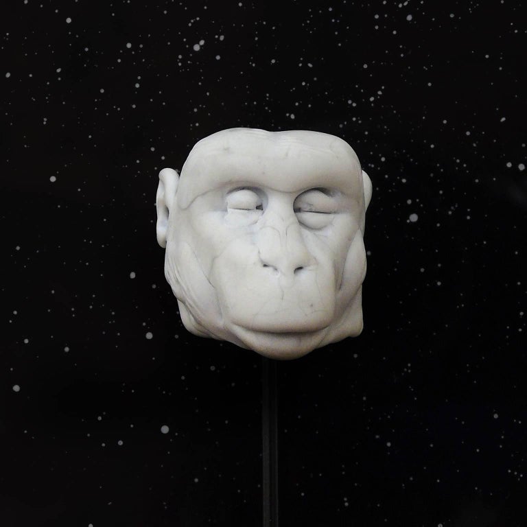 Marshall Hyde - Albert VI, aka Yorick, Space Monkey series For Sale at ...