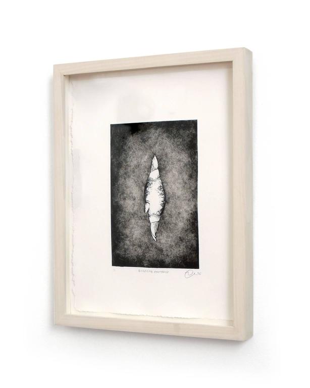 Robin Cass - Bicapitate rhomboid For Sale at 1stDibs