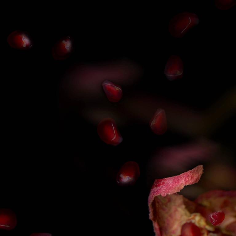 Debb VanDelinder - The Body is the Messenger For Sale at 1stDibs