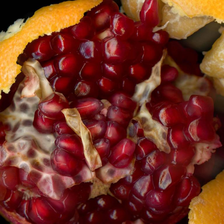 Debb VanDelinder - The Body is the Messenger For Sale at 1stDibs