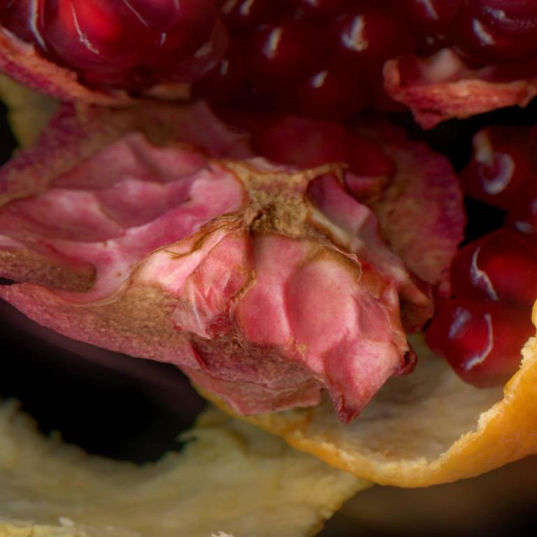 Debb VanDelinder - The Body is the Messenger For Sale at 1stDibs