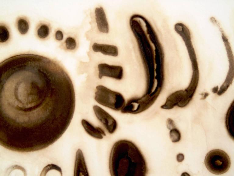 Anne Gant - Necklace for Rain - paper burned by molten glass For Sale ...