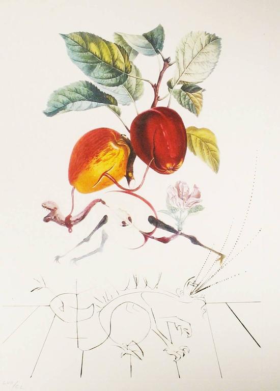 Salvador Dalí­ - Apple-Eve’s Apple, Print For Sale at 1stdibs