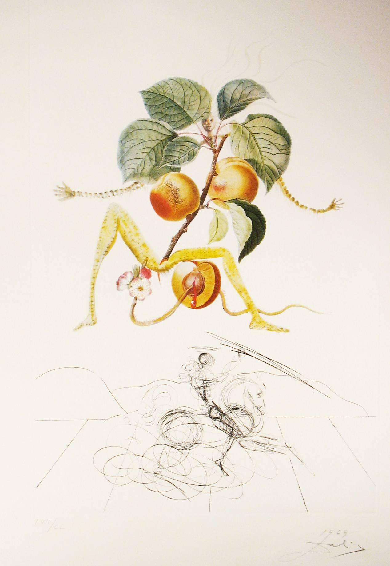 Salvador Dalí­ - Drawers of Memory at 1stDibs