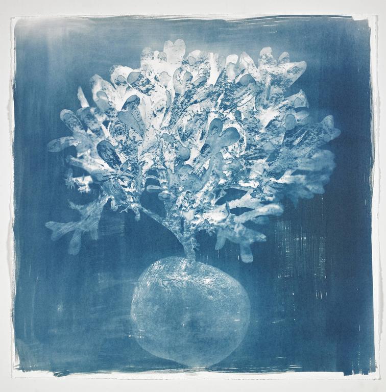 Ellen Steinberg Coven - Ocean Flower VIII For Sale at 1stDibs