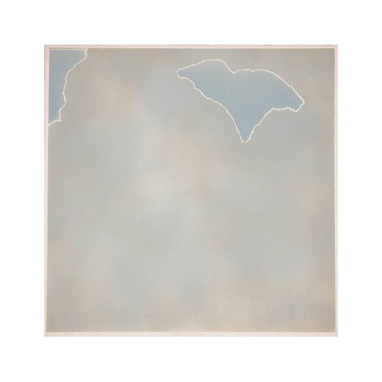 Joe Goode - Untitled (Blue paper clouds) For Sale at 1stDibs