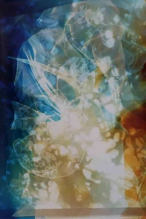 Bryan Graf - Sun Room Canopy Debris III For Sale at 1stDibs