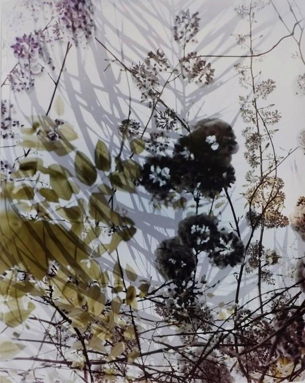 Bryan Graf - Reverberation For Sale at 1stDibs